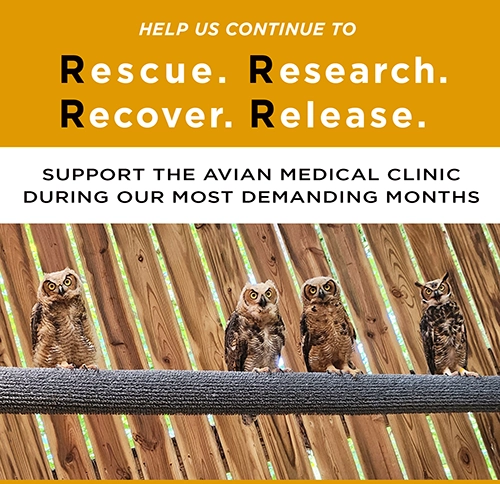 Home - Avian Conservation Center